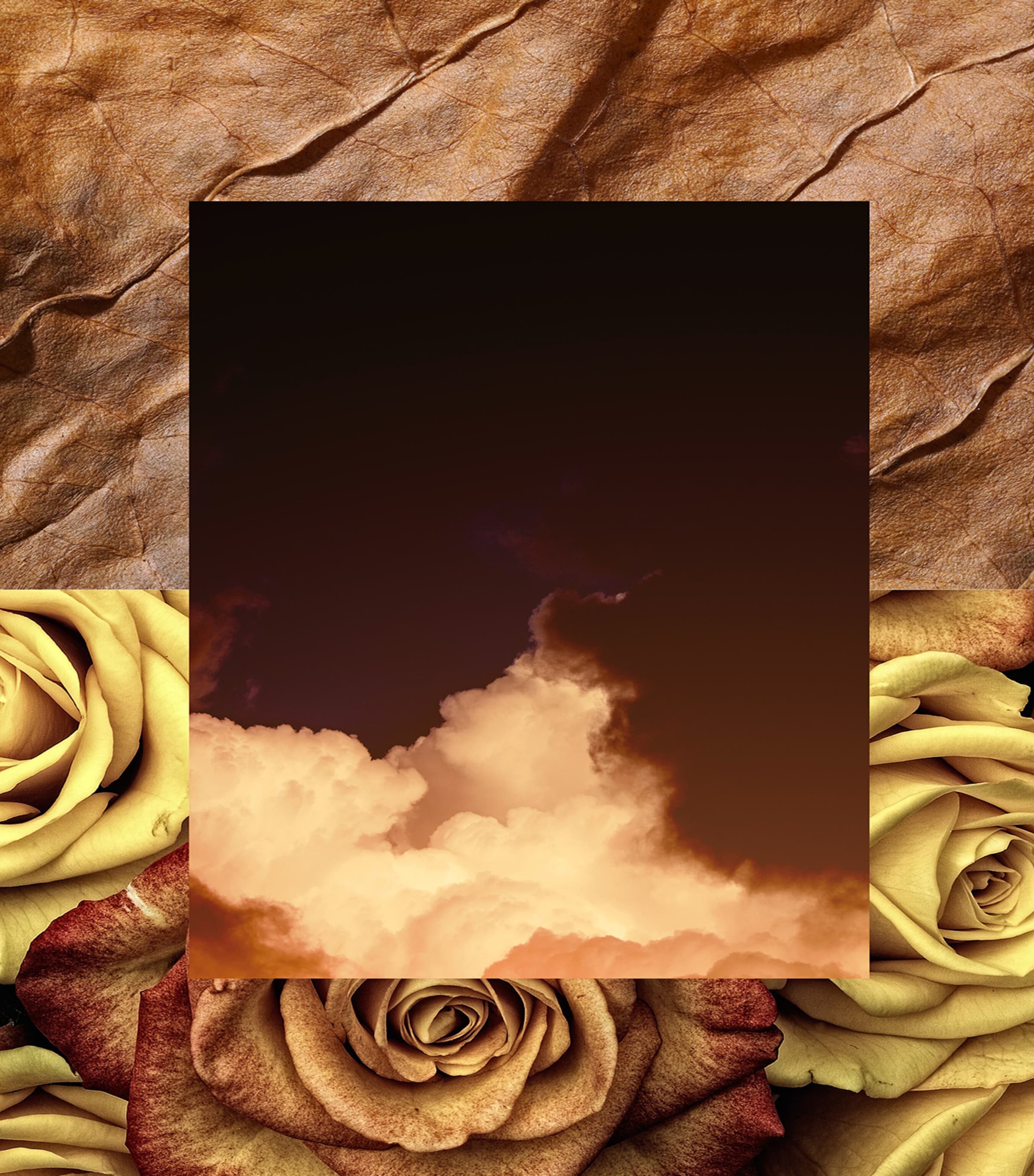 Aqualis Orion Pure Perfume (50Ml) | Harrods DE