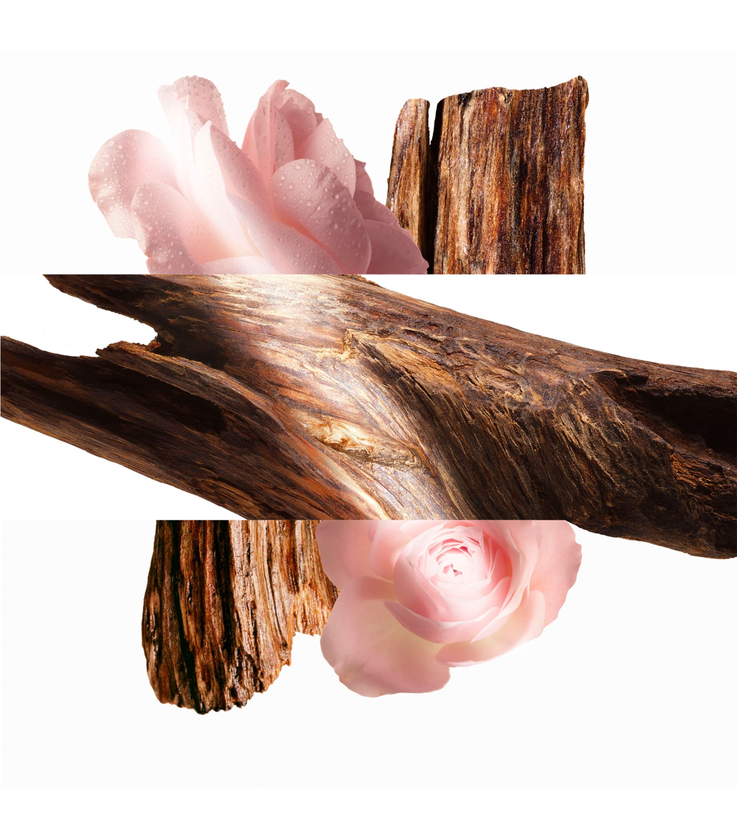 HERMÈS Hermessence Oud Alezan Body Cream (200ml) | Harrods SE