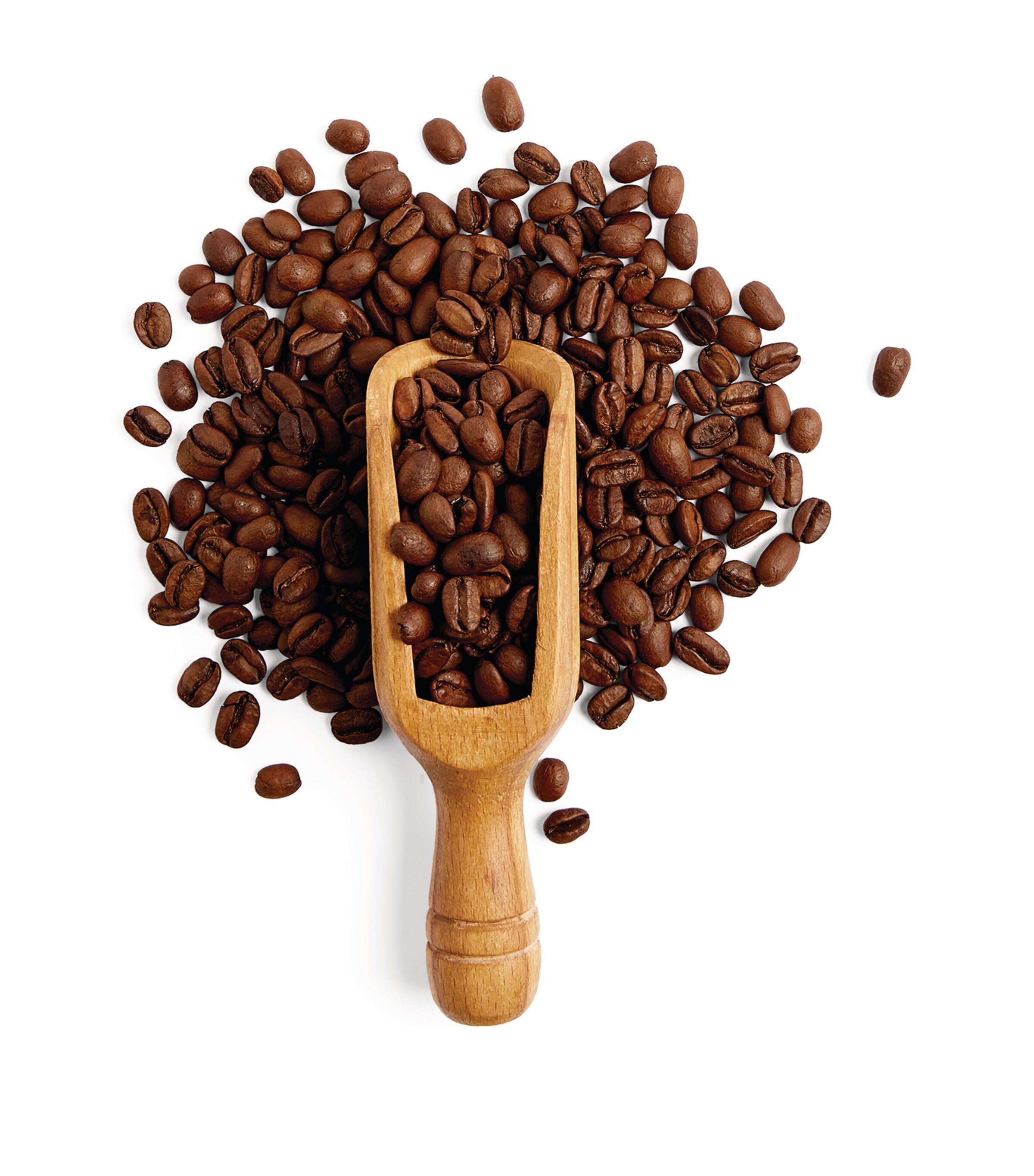 Harrods Hacienda La Esmerelda – Panama Geisha Beans (250g) | Harrods UK