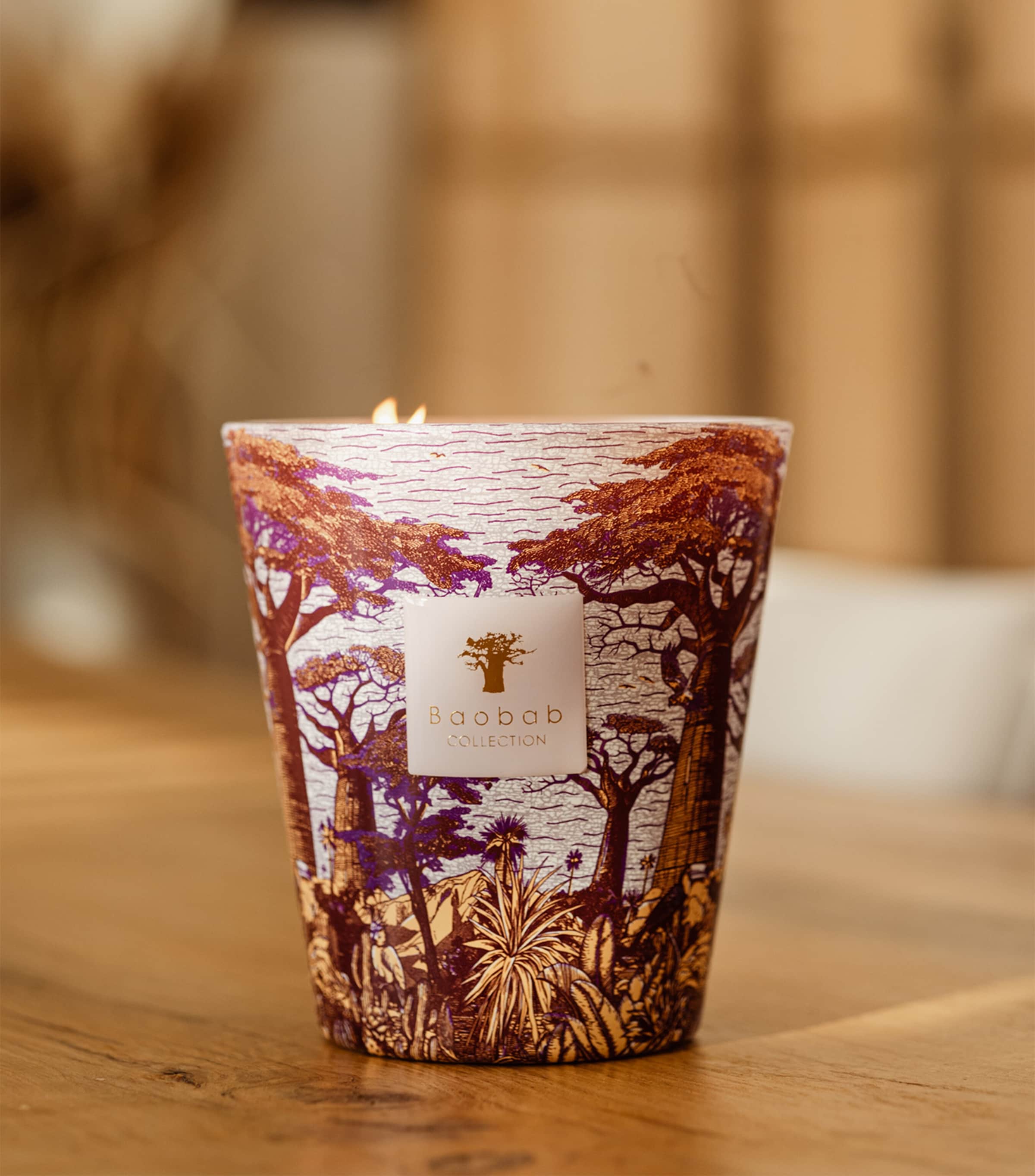 Baobab Collection Sacred Trees Massasso Candle (2.3kg) | Harrods US
