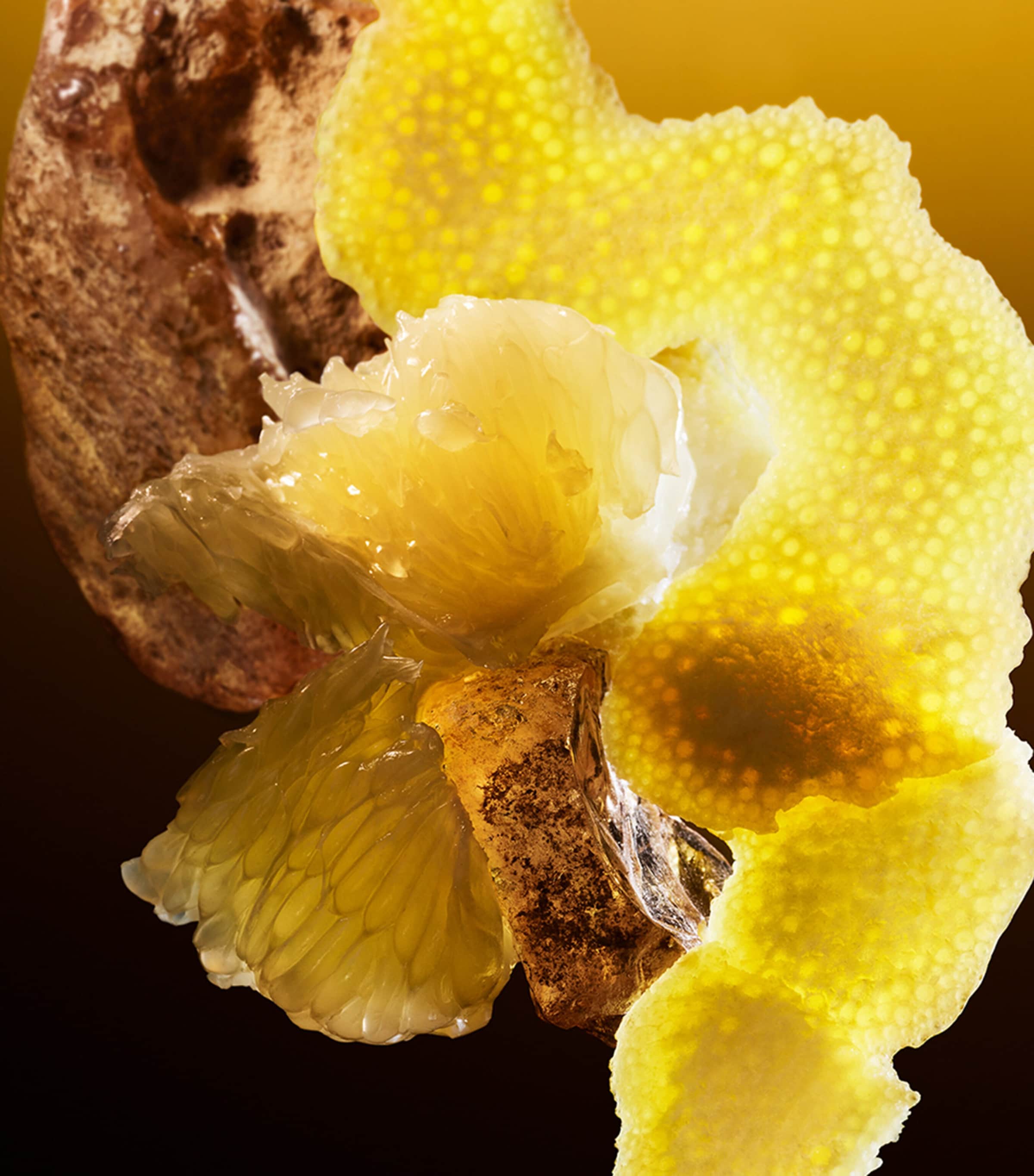 Bvlgari Le Gemme Tygar Eau de Parfum (125ml) | Harrods UK