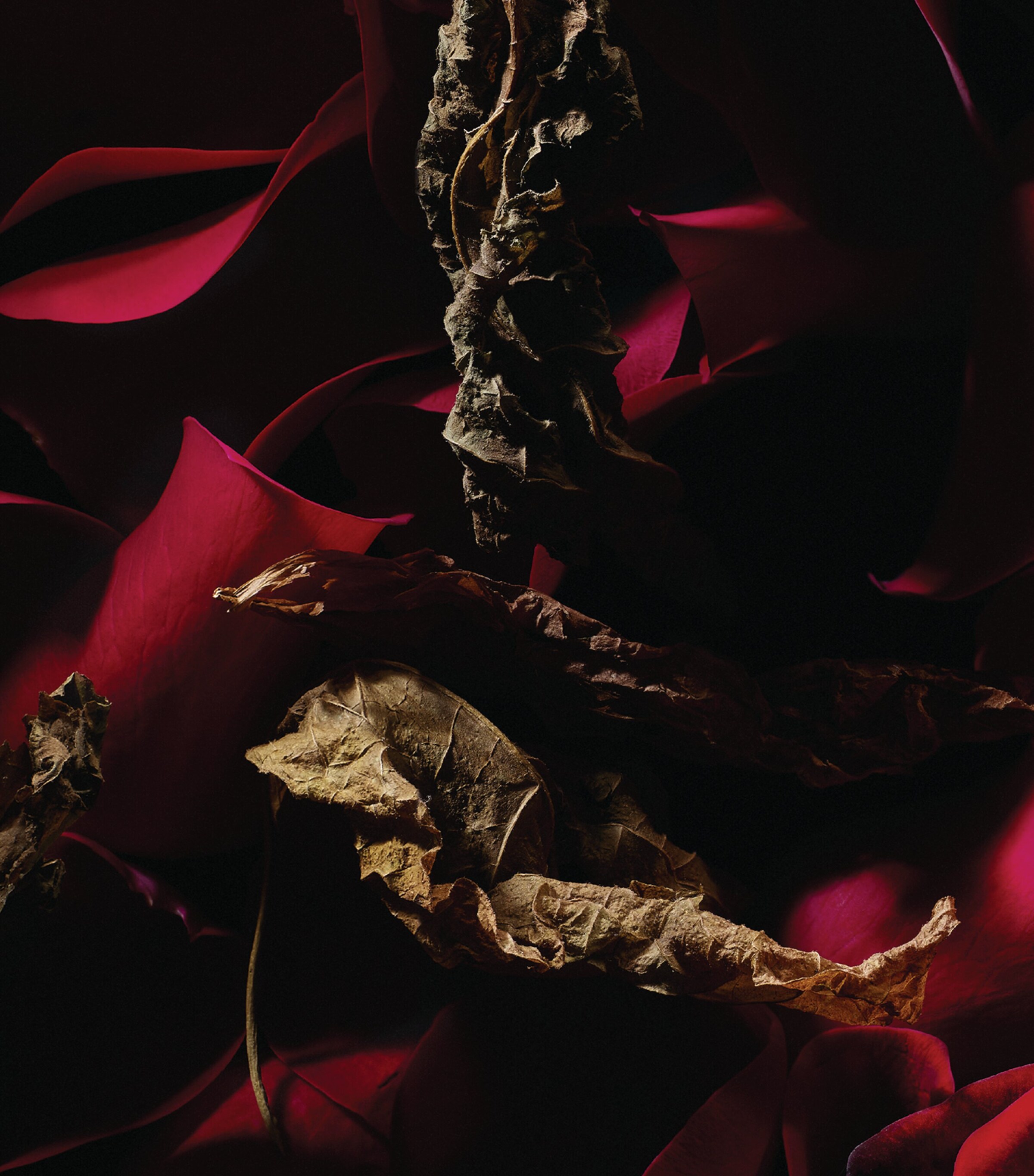 YSL Rouge Velours Eau de Parfum (125ml) | Harrods UK