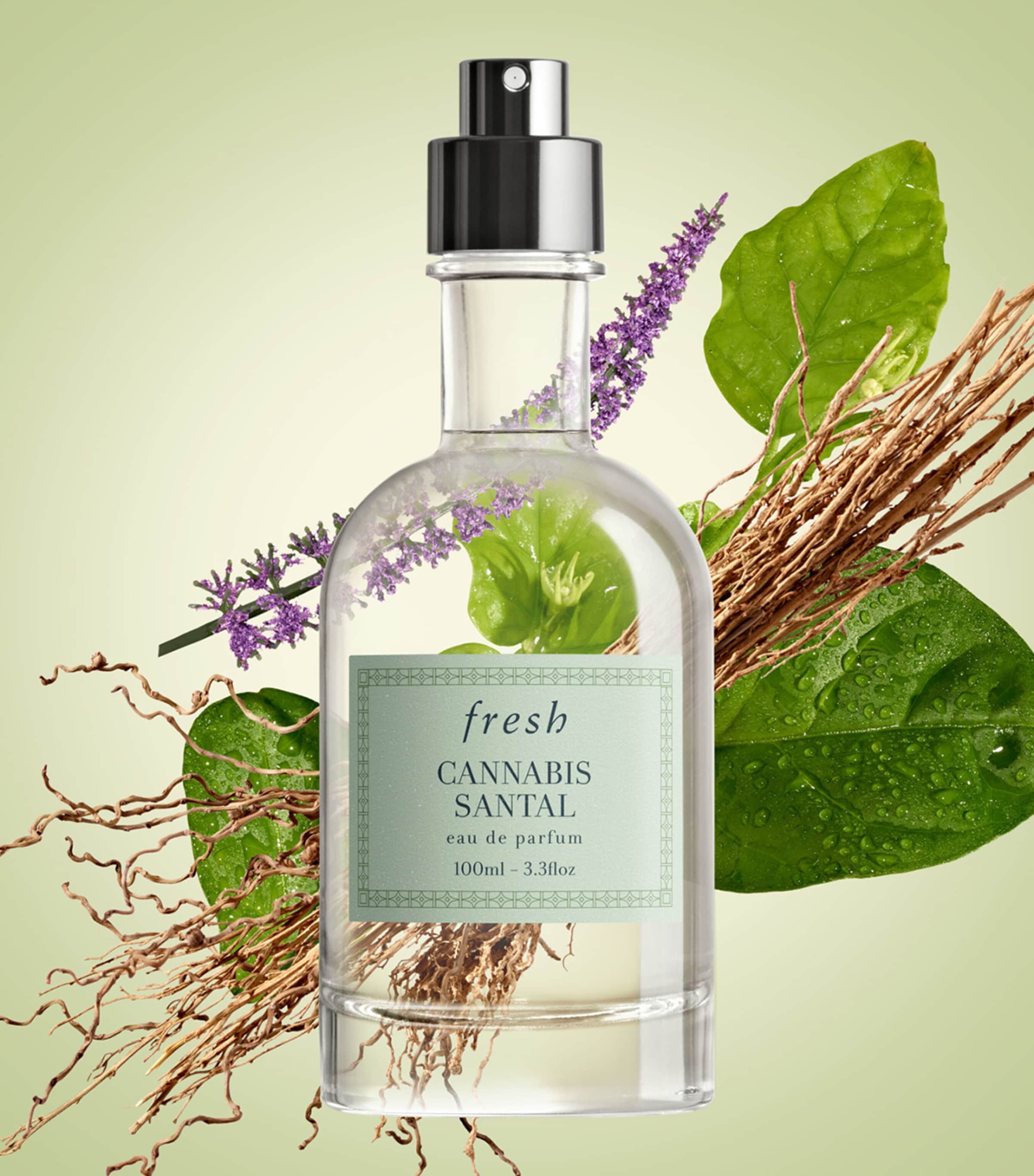 Fresh Cannabis Santal Eau de Parfum (100ml) | Harrods ZA