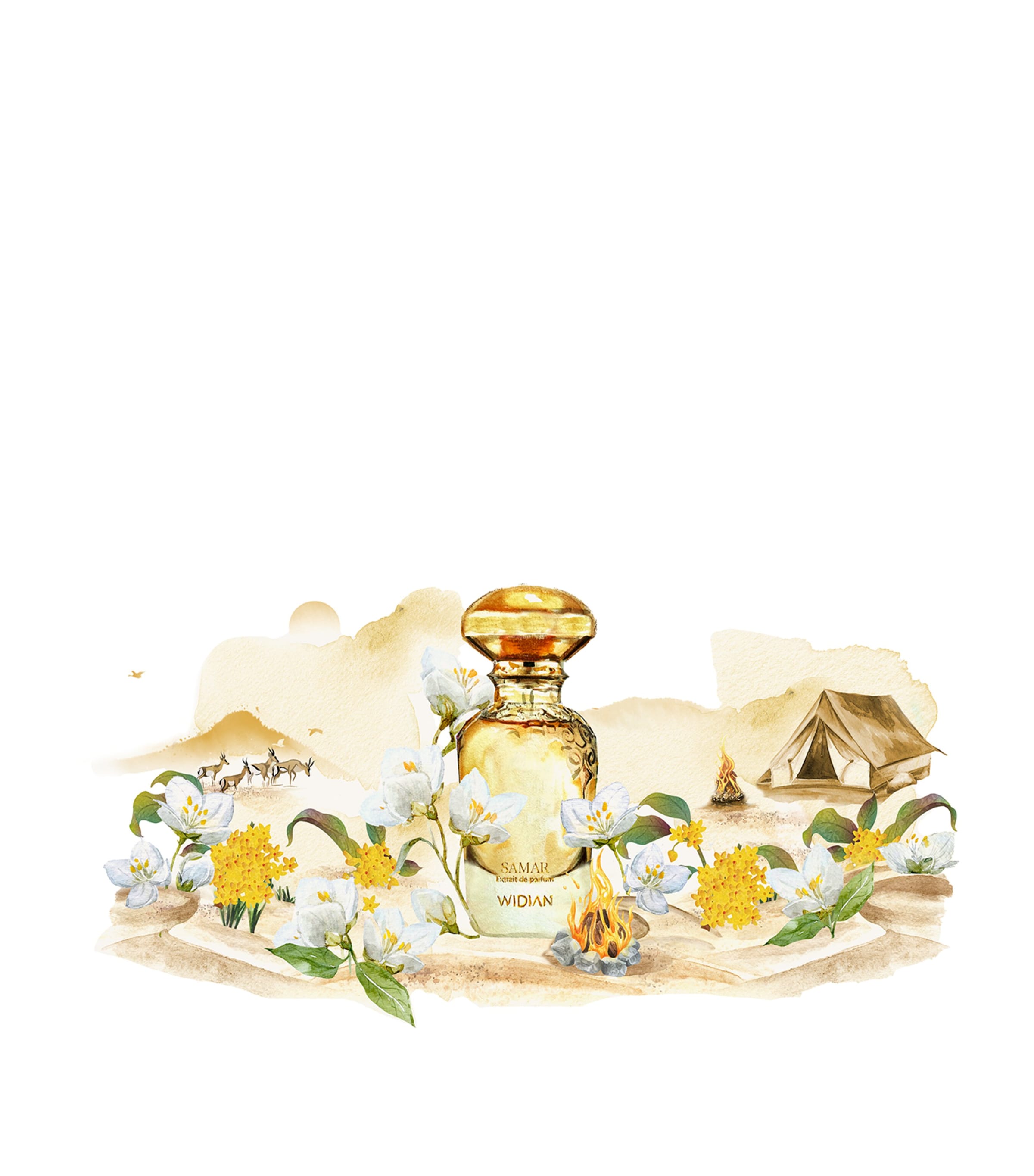 Widian Samar Extrait De Parfum (50ml) | Harrods IE