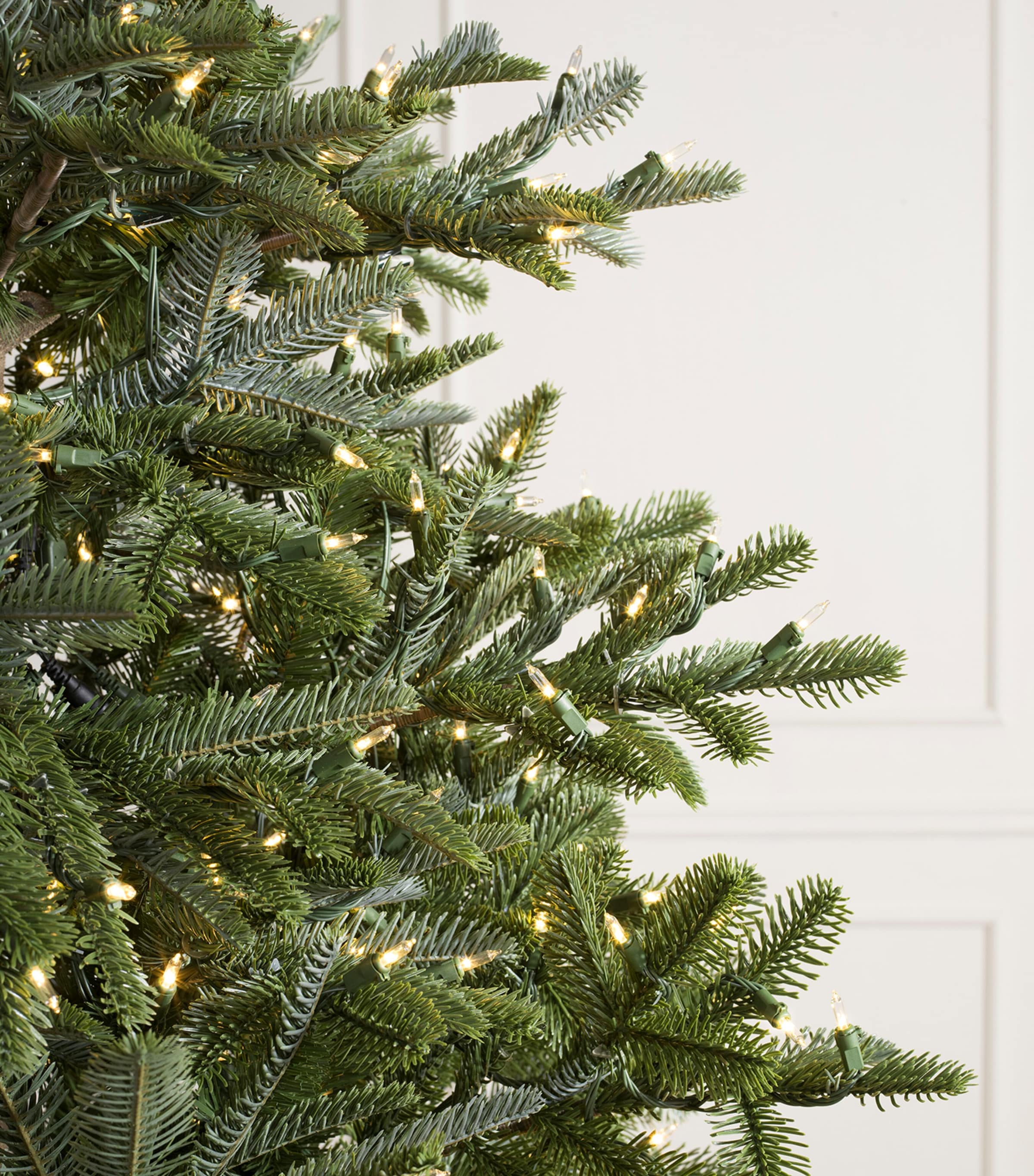 BALSAM HILL BH Nordmann Fir Clear LED Green Tree (8ft) | Harrods IT