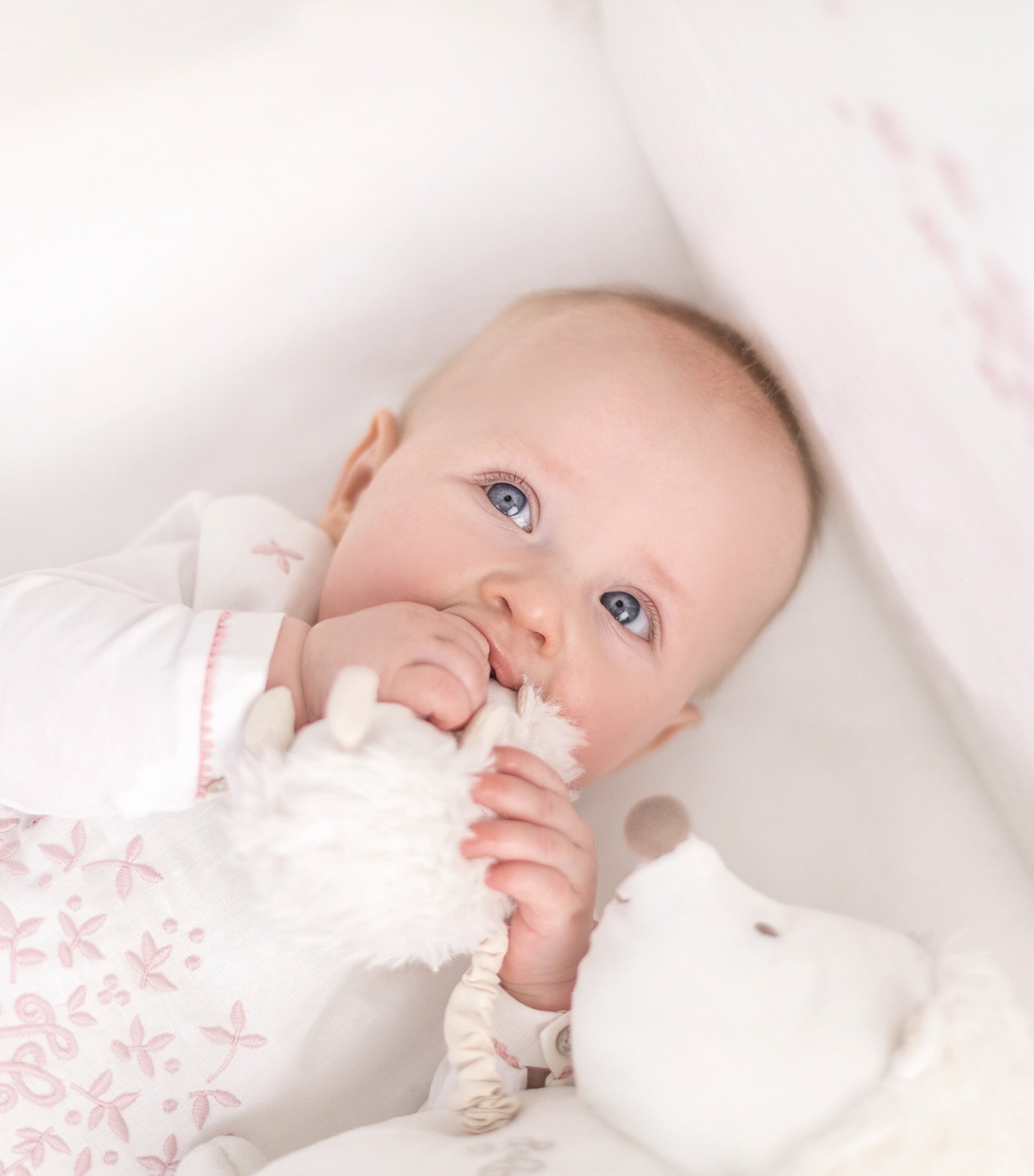 Tartine et Chocolat Léon The Musical Hedgehog Soft Toy (25cm) | Harrods UK