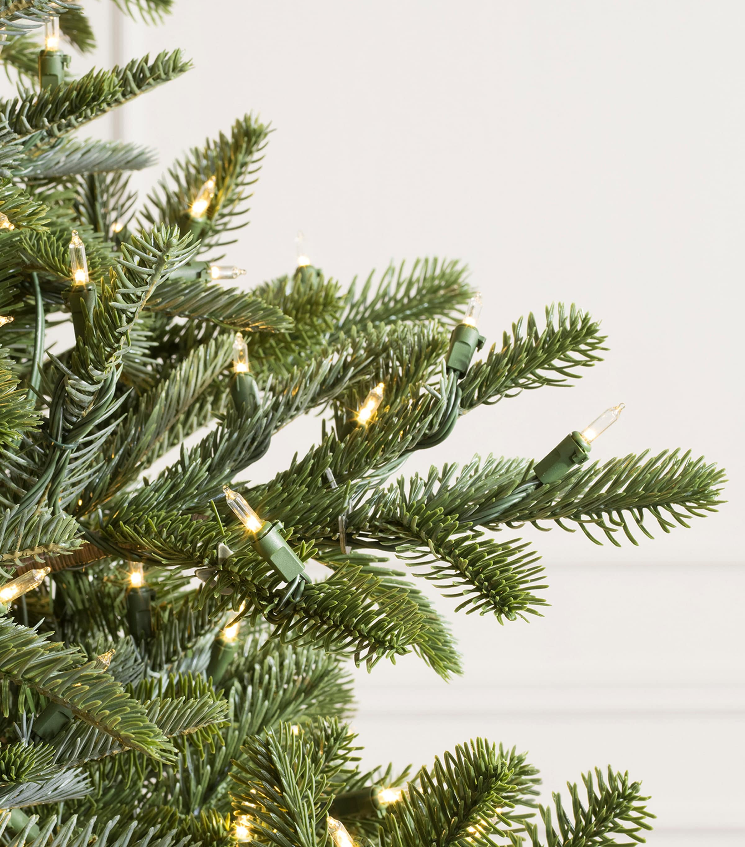 BALSAM HILL BH Nordmann Fir Clear LED Green Tree (8ft) | Harrods IT