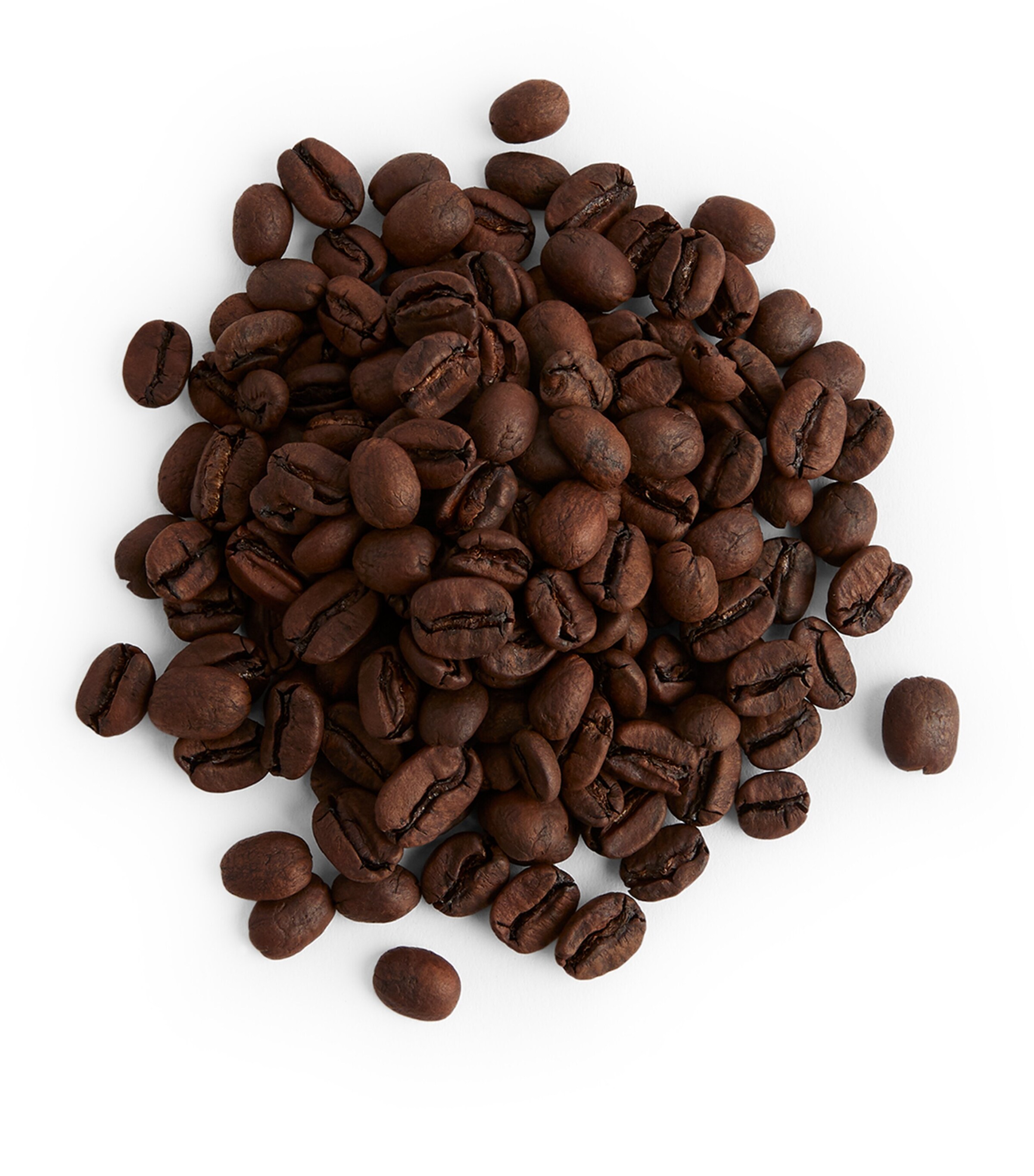 Harrods Brazilian Jacu Bird Coffee Beans (250g) | Harrods US