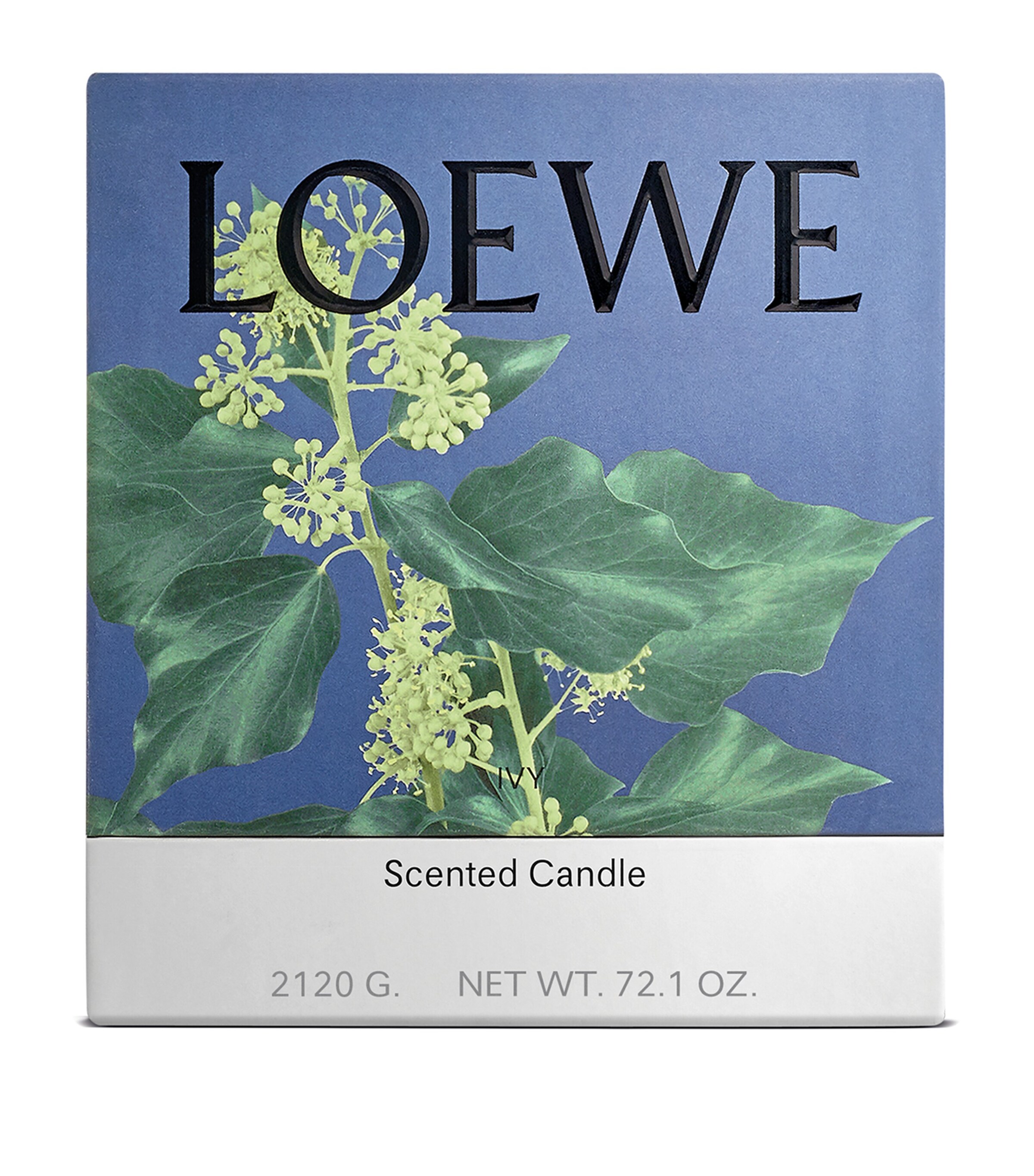LOEWE Large Ivy Candle (2.12kg) | Harrods UK