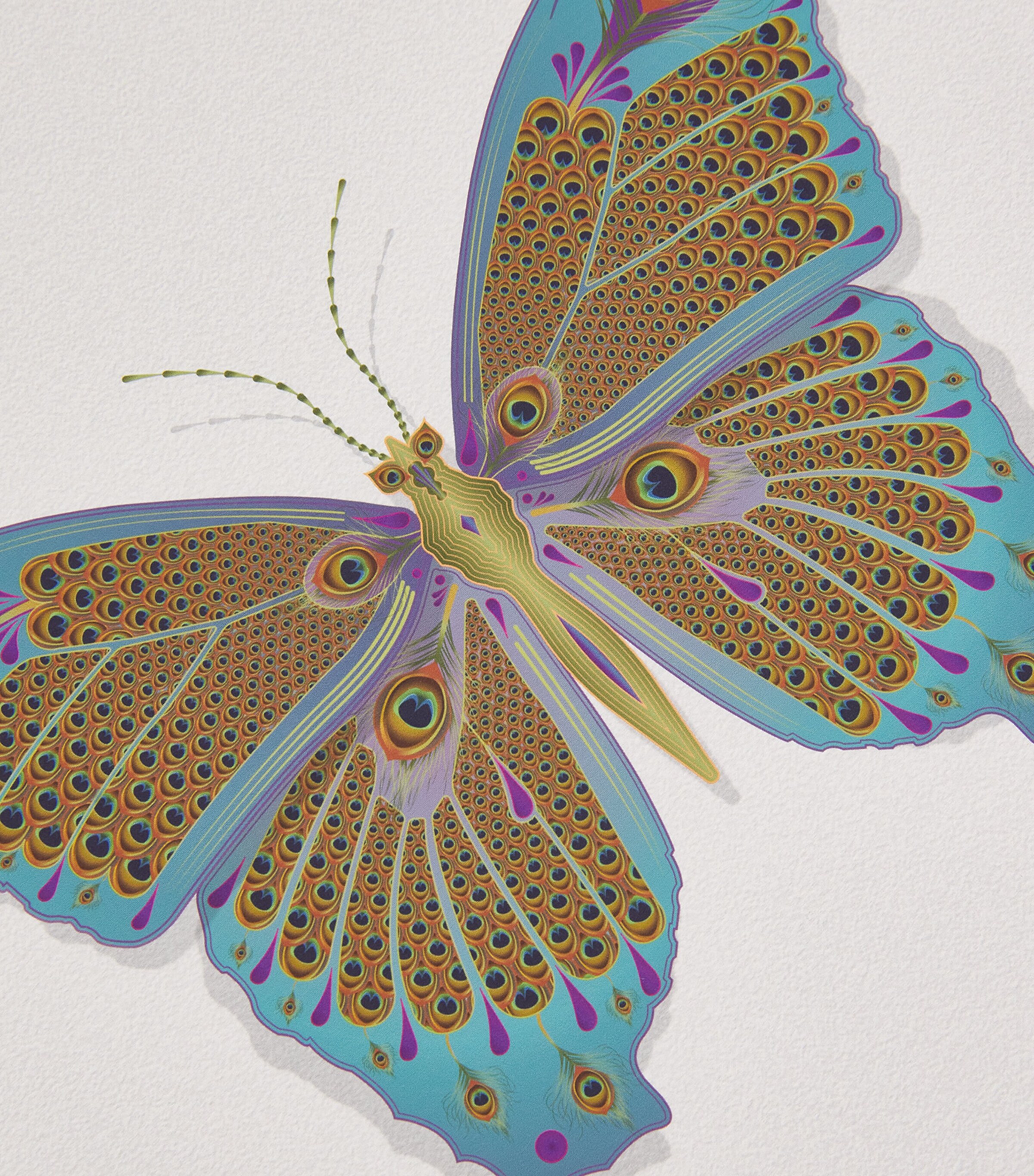 Konstantinos Chalaris Curious Collector Butterfly Print (42cm x 30cm) | Harrods US